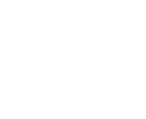 Holool Holding – BIG DATA IS OUR PASSION